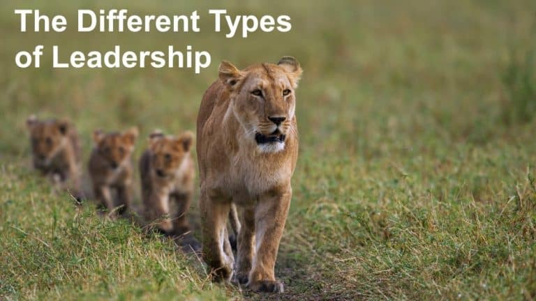 The Different Types of Leadership - Business Leadership Today